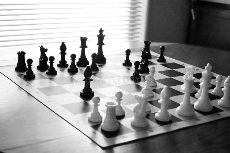 Chess Match in Play stock photo. Image of chess, middle - 206402210