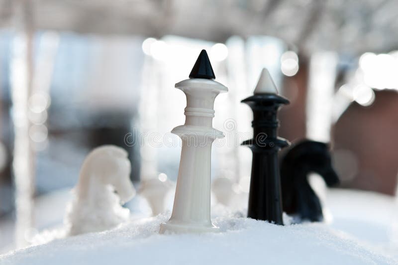 Chess pieces on snow stock photo. Image of piece, entertainment - 28808884