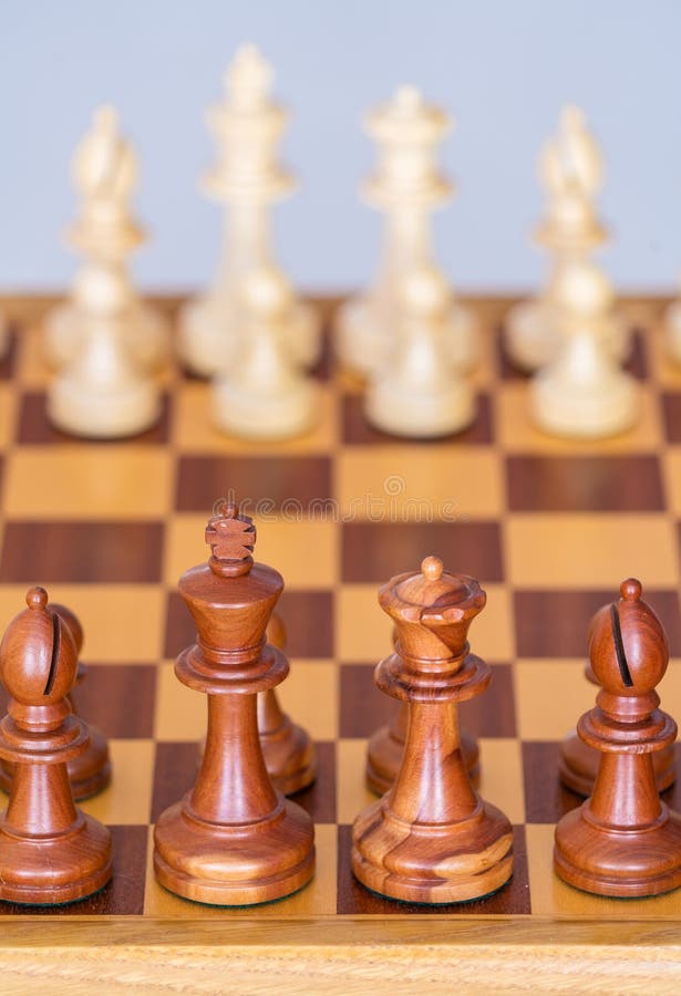 Chess Pieces in Starting Position on a Wooden Board Stock Image - Image ...