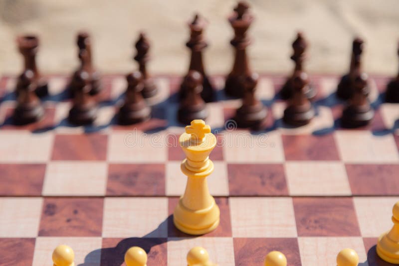 King Chess Beach Stock Photos - Free & Royalty-Free Stock Photos from ...
