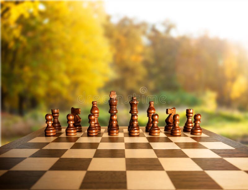 Chess stock photo. Image of grass, chess, cloudscape - 113178184