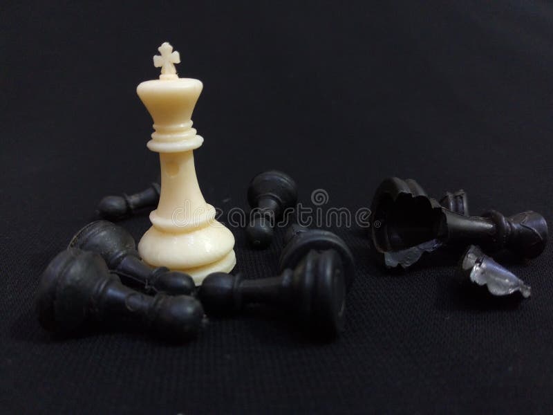 Chess stock photo. Image of strong, knight, battle, chess - 120598740
