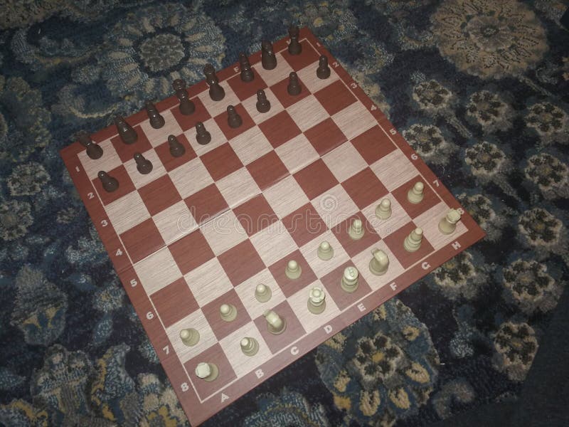 Chess Time! stock image. Image of time, nice, ground - 105119599