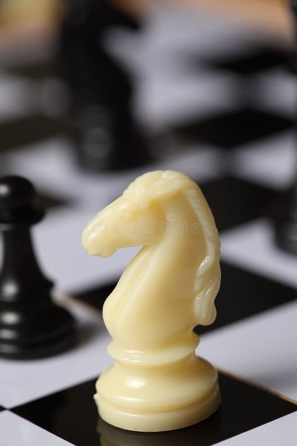 Chess White Knight stock image. Image of cunning, white - 7825323