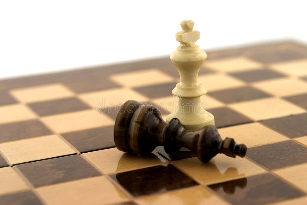 Chess winner stock photo. Image of player, game, wood, close - 859292