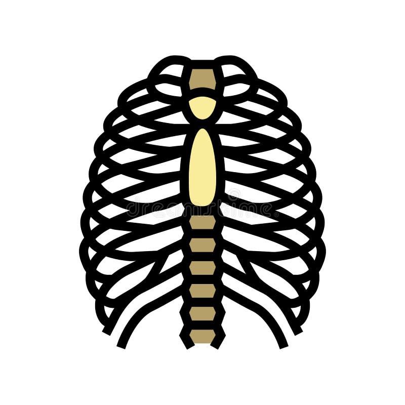 Chest Bone Color Icon Vector Illustration Stock Illustration ...