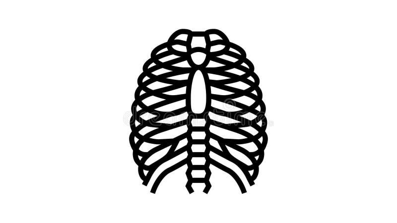 Bone Human Color Icon Animation Stock Video - Video of pancreas, human ...