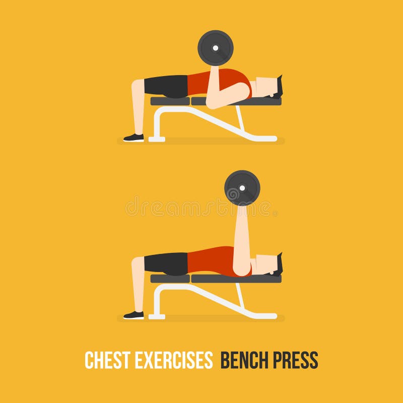 Chest Exercises. Incline Bench Press Stock Vector - Illustration of ...