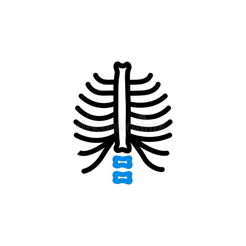 Chest x ray icon vector stock vector. Illustration of travel - 227095041