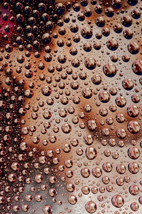 Chest reflection stock image. Image of sensual, drops - 17447485