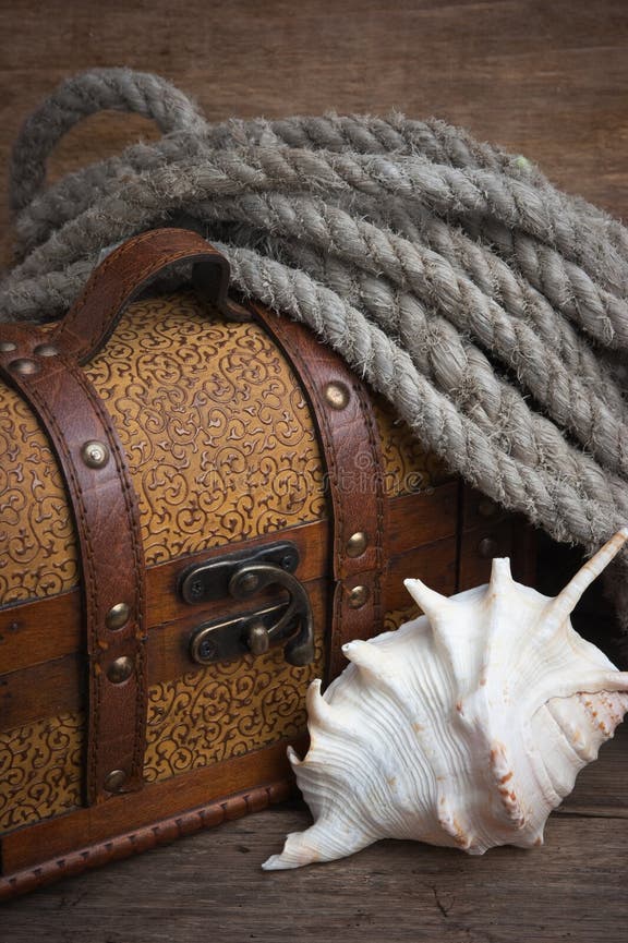Chest and seashell stock photo. Image of decoration, brown - 18702676
