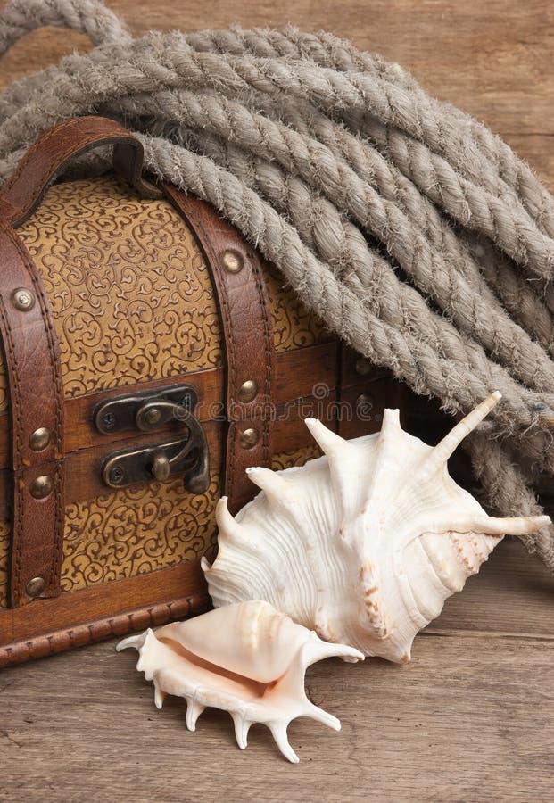 288 Chest Seashell Stock Photos - Free & Royalty-Free Stock Photos from ...