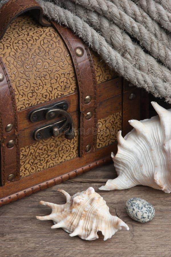 Chest and seashell stock photo. Image of decoration, brown - 18702676