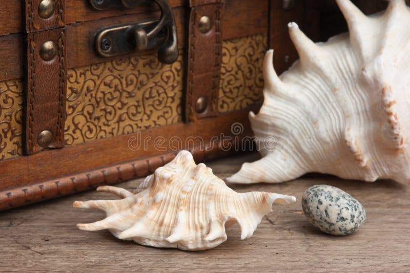 Chest and seashell stock photo. Image of decoration, brown - 18702676