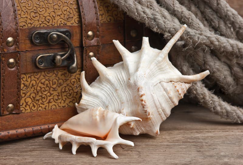 Chest and seashell stock photo. Image of decoration, brown - 18702676