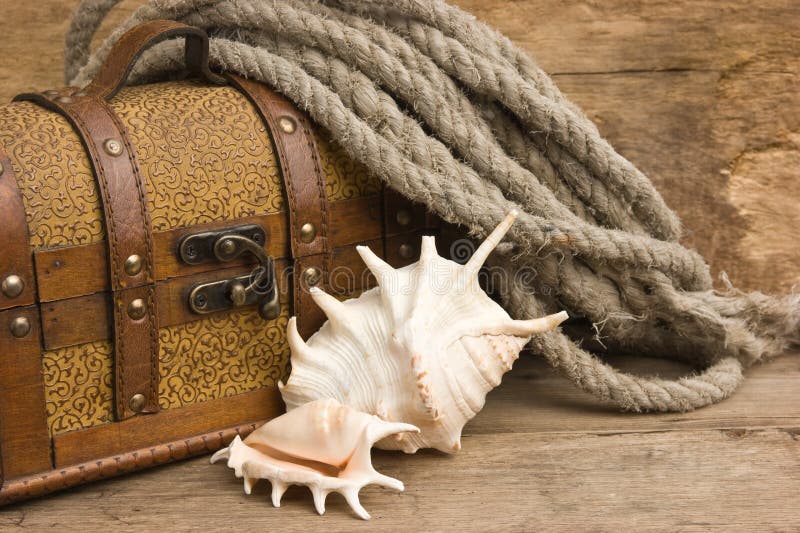 Chest and seashell stock photo. Image of trunk, furniture - 173008976