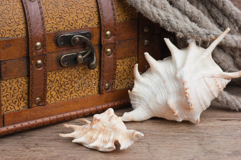 Chest and seashell stock photo. Image of decoration, brown - 18702676