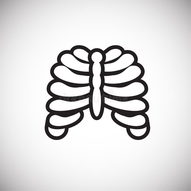 Chest Skeleton on White Background Stock Vector - Illustration of life ...