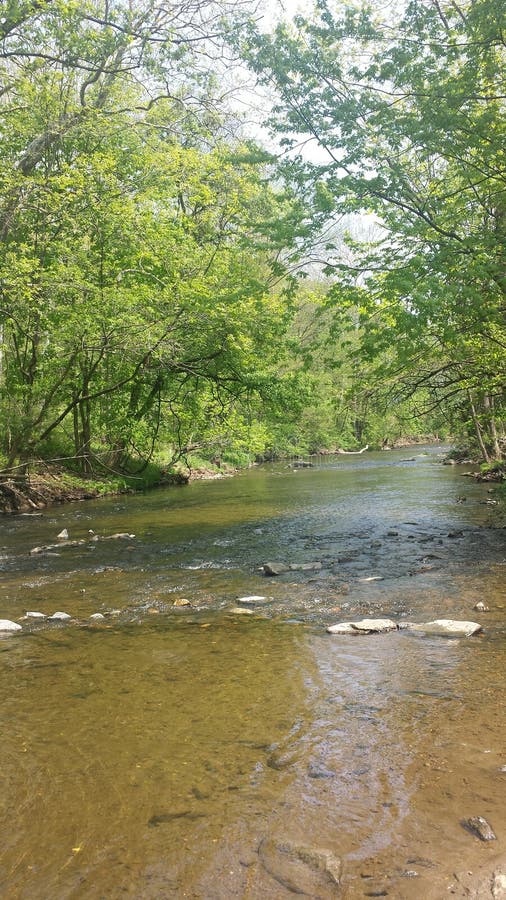 Chester Creek Falls stock photo. Image of creek, falls - 61638310