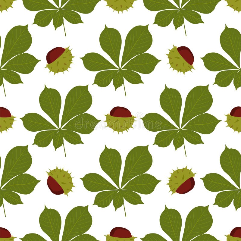 Chestnut, Leaves and Peels. Pattern Stock Vector - Illustration of ...