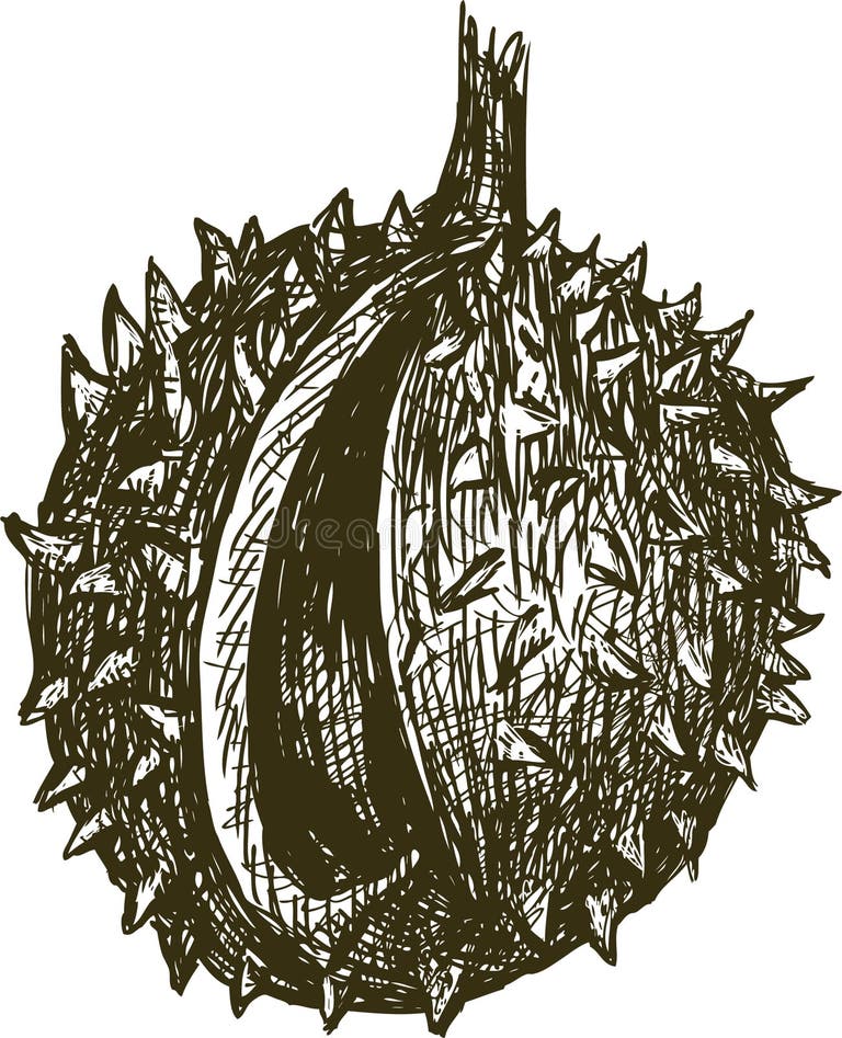 Chestnut Flora Stock Illustrations – 5,570 Chestnut Flora Stock ...