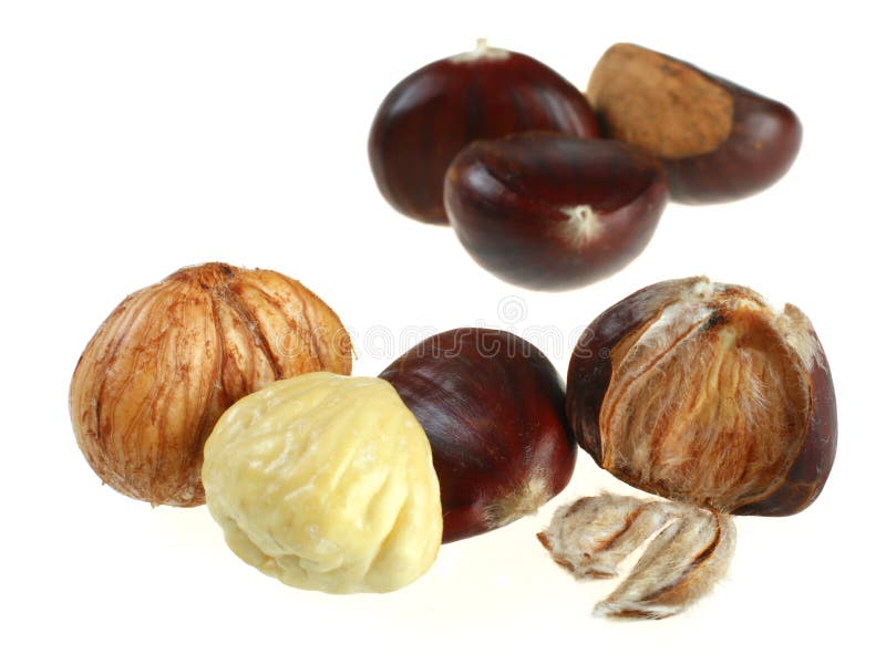 Chestnut stock image. Image of object, healthy, husk, vegetable - 3732271