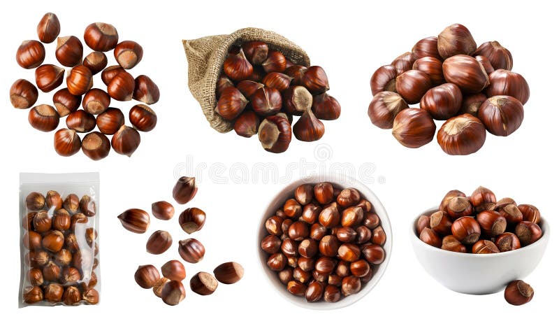 Chestnut Nut Seed, Many Angles View Pile Stack, Bowl, Packet Package ...