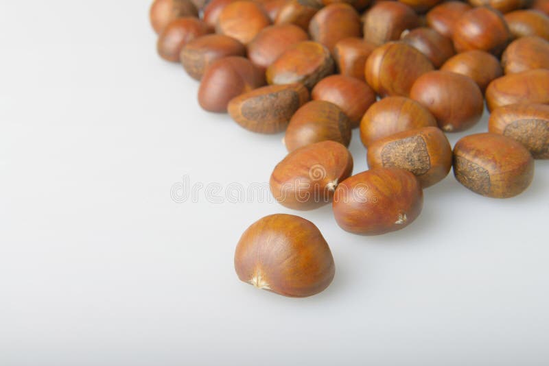 Chestnut stock image. Image of maroon, nuts, fall, hard - 52816101