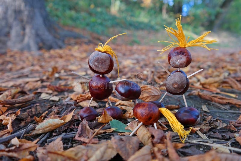 Chestnut family stock image. Image of trip, autumn, chestnuts - 34594815