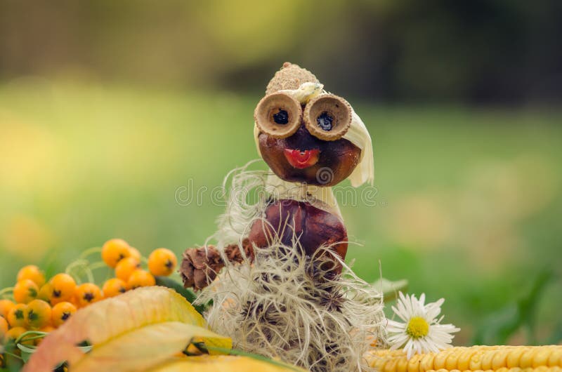 Chestnut figure in grass stock image. Image of handcraft - 95215149
