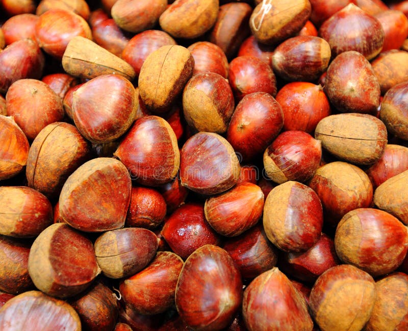 Chestnut stock photo. Image of nutrition, roast, market - 37763868