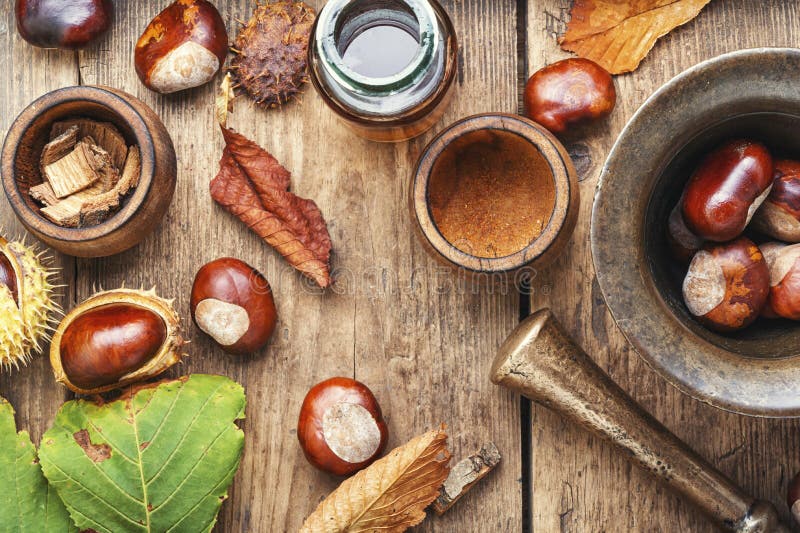 Chestnut in Herbal Medicine Stock Photo - Image of esculin, medication ...
