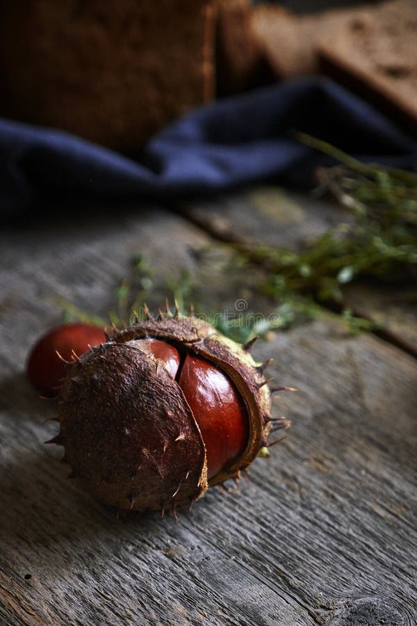Chestnut with Herbs and Bread Stock Image - Image of cooking ...