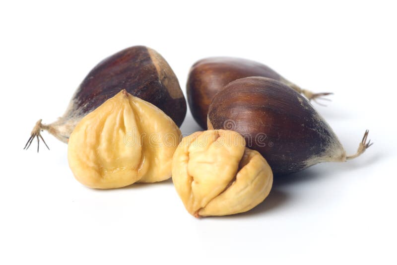 Chestnut fruit stock image. Image of peeled, food, cooked - 13010225