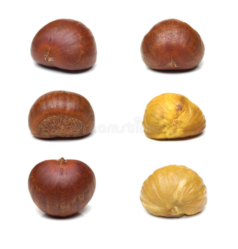 Chestnut stock image. Image of peel, isolated, inside - 79076319