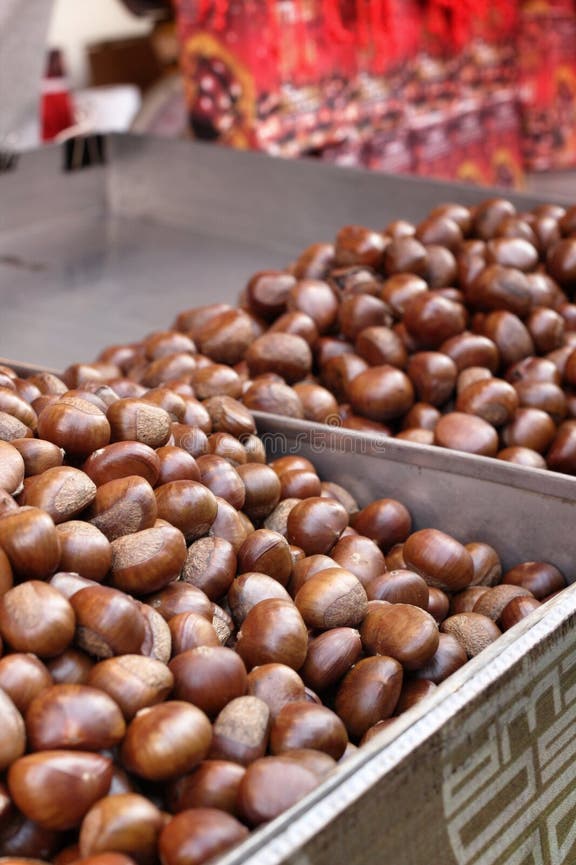 Chestnut stock image. Image of group, chestnut, skin - 36511257