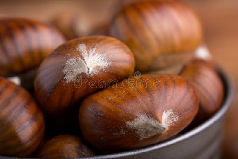 Chestnut stock photo. Image of season, tasty, food, opened - 79164002