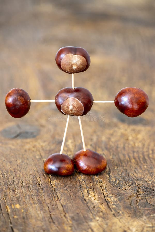 Chestnut man stock image. Image of journey, lonely, fall - 260195049