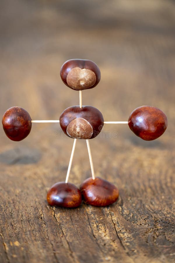 Chestnut man stock image. Image of background, toothpick - 287608363