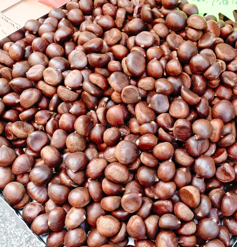 Chestnut at market stock image. Image of studio, white - 82689621