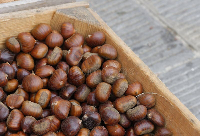 Chestnut at market stock photo. Image of food, group - 62570824