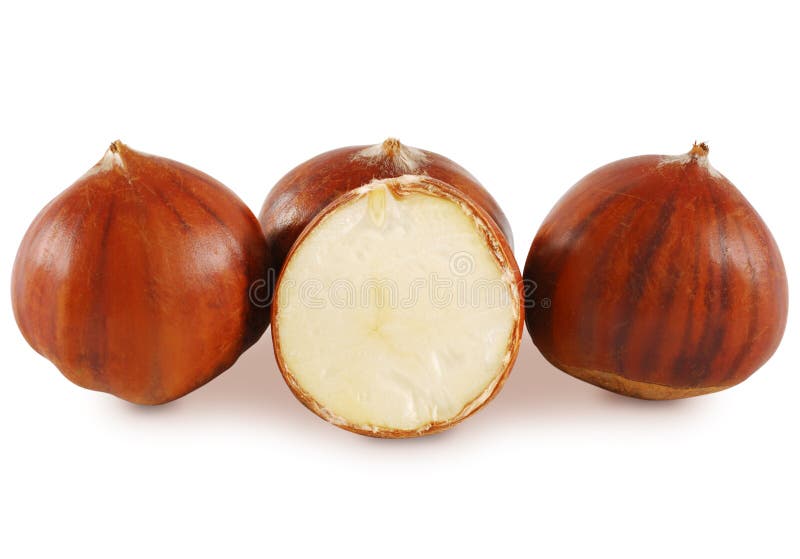 Chestnut (maroni) stock photo. Image of closeup, nature - 7447288