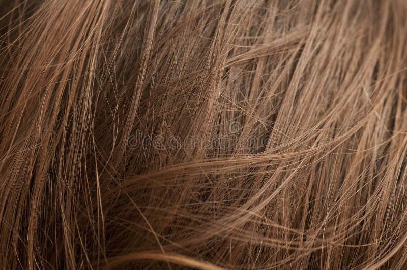 Chestnut natural hair stock image. Image of haircut, style - 68328983