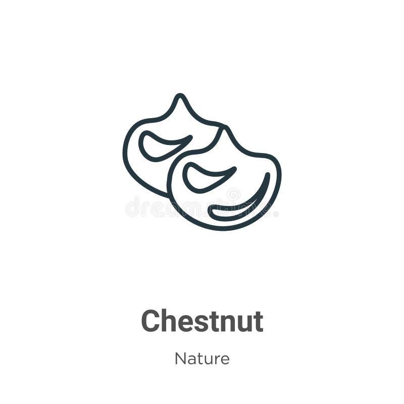 Chestnut Outline Vector Icon. Thin Line Black Chestnut Icon, Flat Vector Simple Element ...