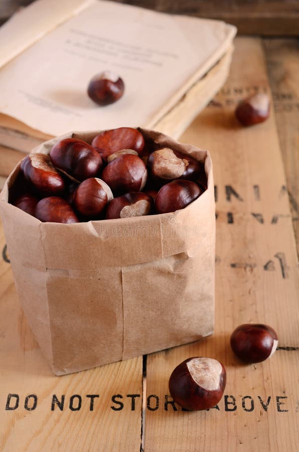 Chestnut in Paper Bag and Vintage Books Stock Image - Image of boards ...