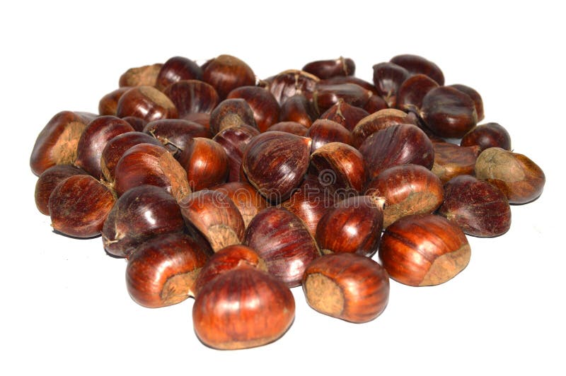 Chestnut pictures stock photo. Image of juice, garden - 85948460