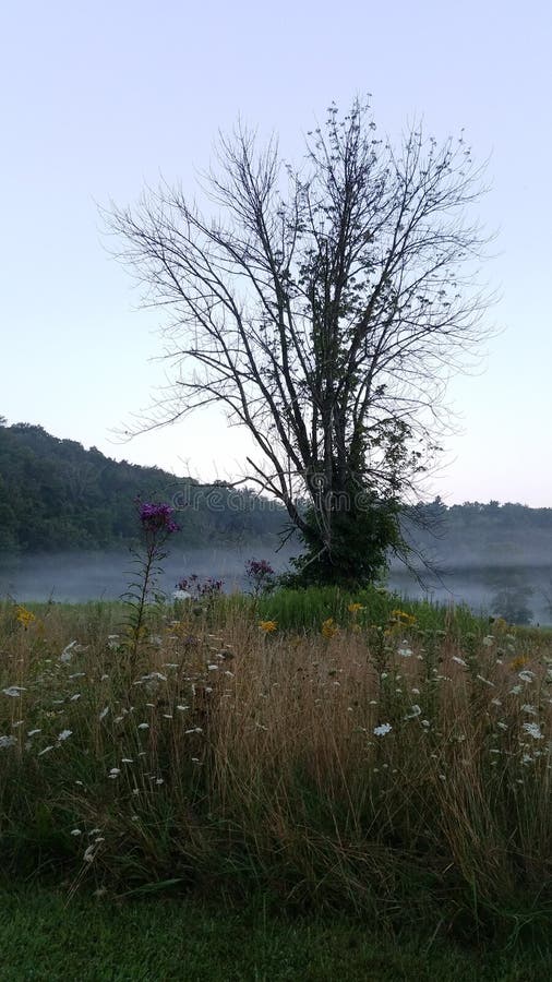 Chestnut Ridge Metro Park Picture. Image: 154334014