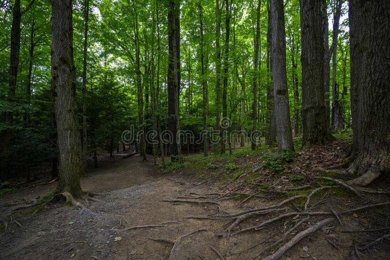 Chestnut Ridge Park Eternal Flame Falls Stock Photo - Image of park ...