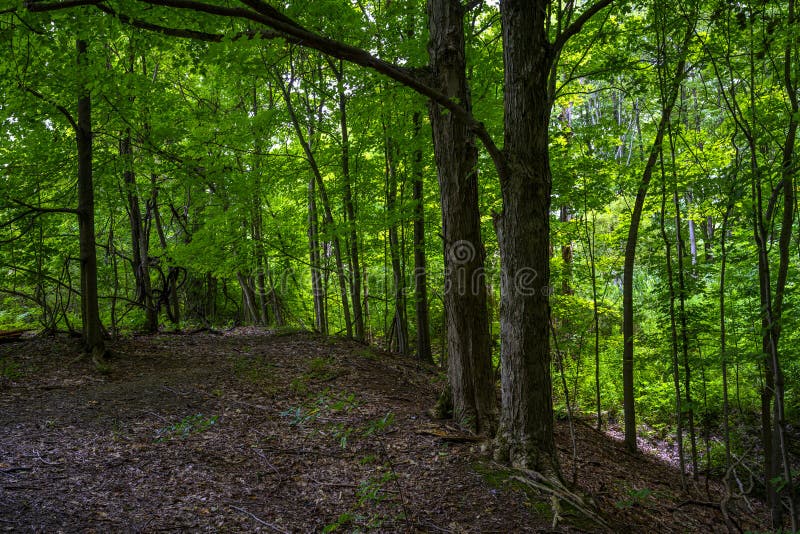 Chestnut Ridge Park Eternal Flame Falls Stock Image - Image of ...