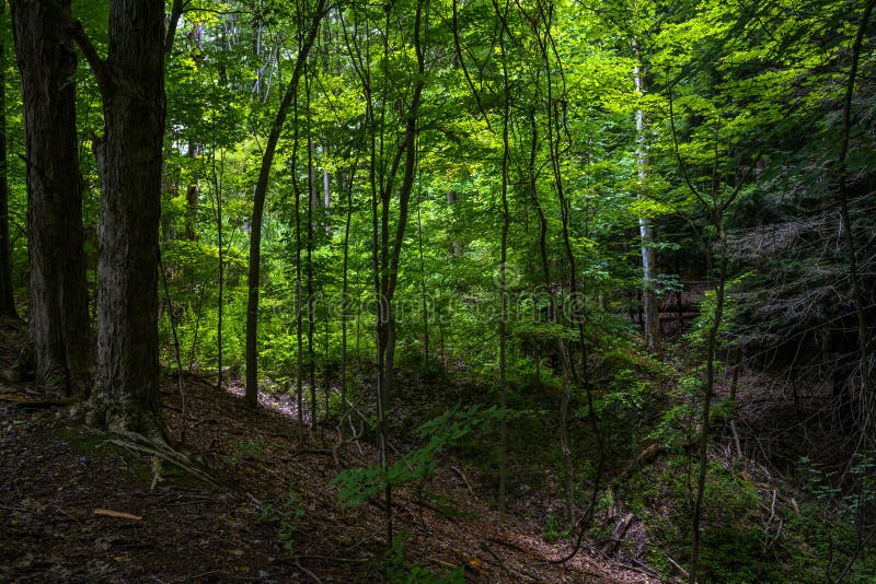 Chestnut Ridge Park Eternal Flame Falls Stock Photo - Image of lake ...